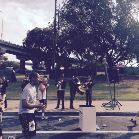 Navy Bay Bridge Run – branching out… on a limb